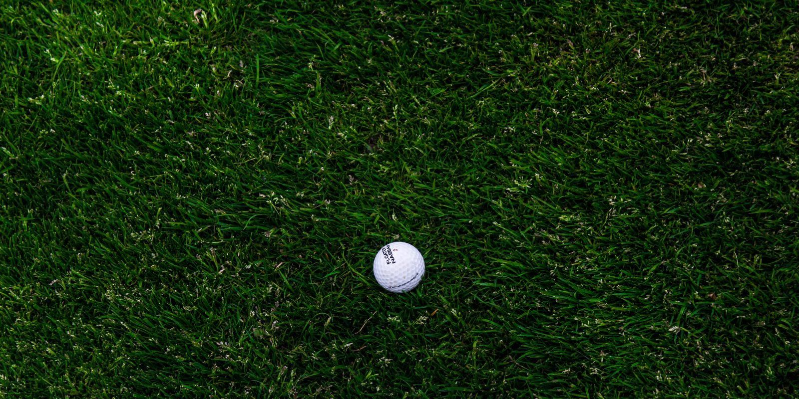 High Quality Turf Grass Sod | Purchase Sod Direct | Payne Sod Farm